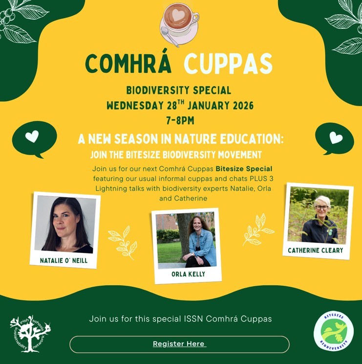 ISSN Comhrá Cuppas Special Bitesize - Monthly Sessions-Online Courses